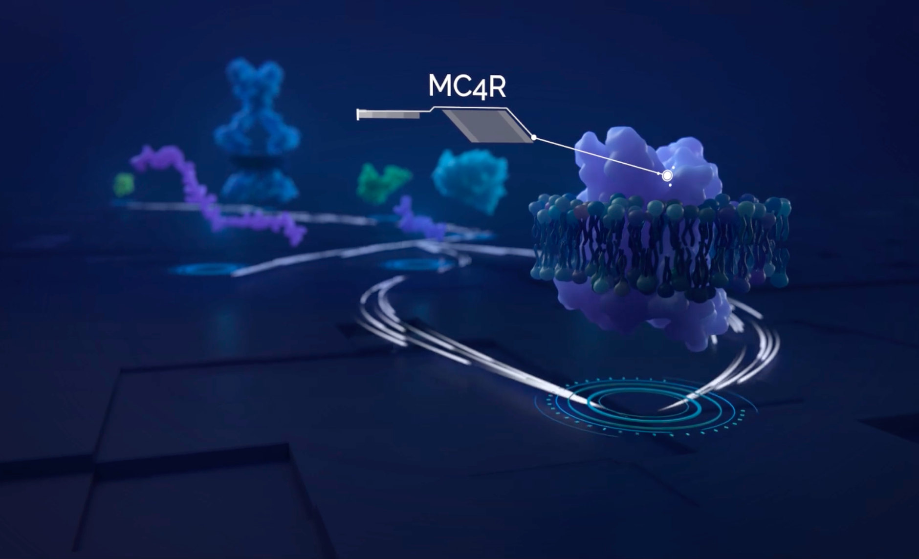 MC4R Pathway - Rhythm Pharmaceuticals